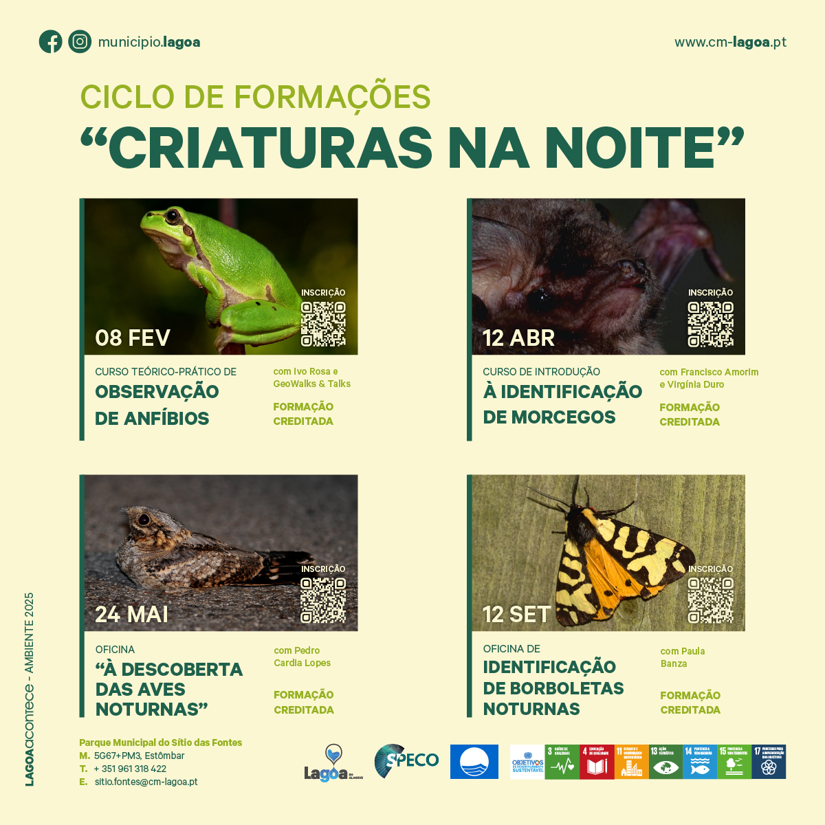 Ciclo de Formações Criaturas da Noite